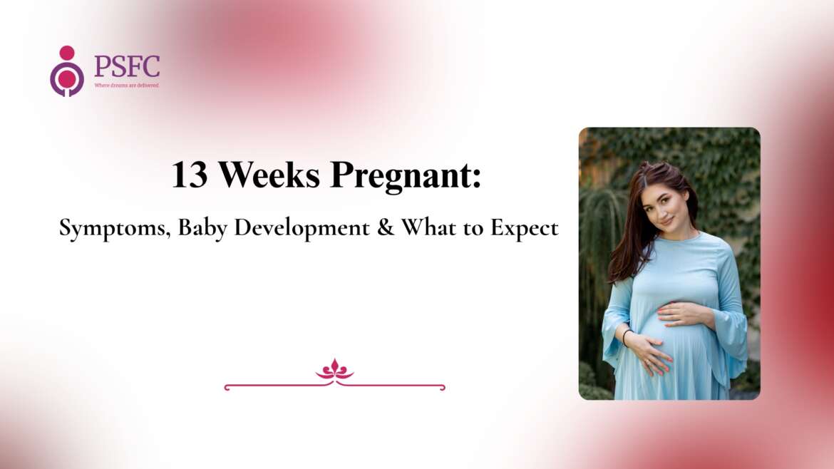 13 weeks pregnant belly with baby development illustration - Pearl ...