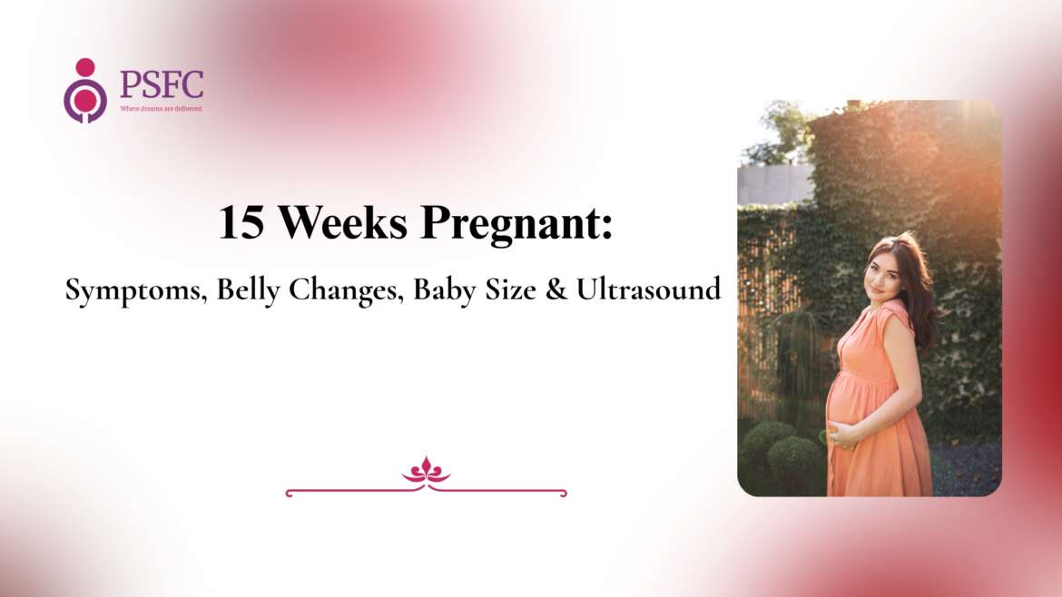 15 weeks pregnant belly and baby development illustration - Pearl ...